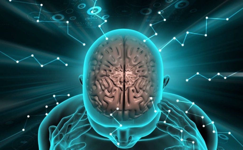 ¿qué Le Sucede A Tu Cerebro Cuando Lees